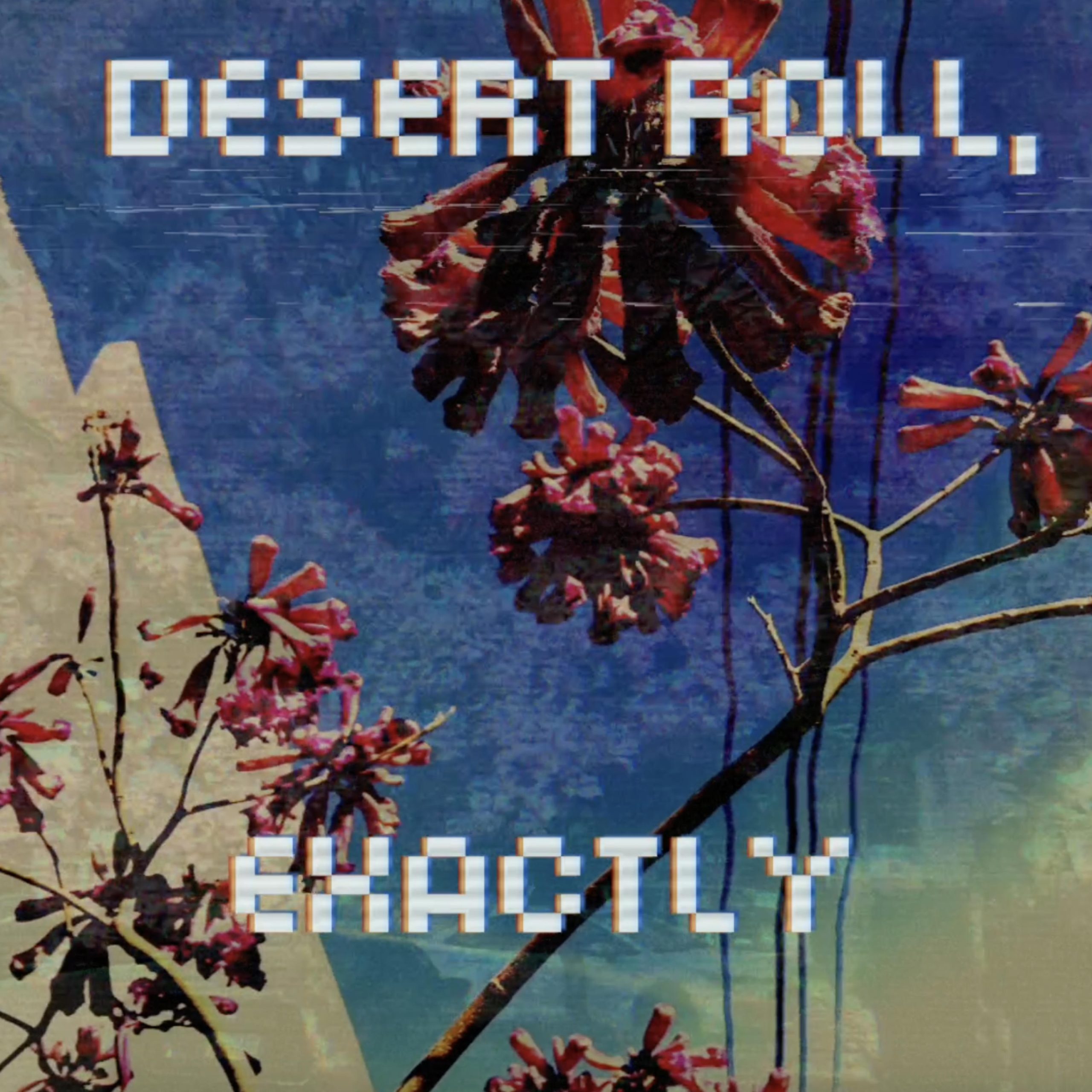 Mirages at Dusk: A Violet In Youth Trace Beauty and Tension on “Desert ...
